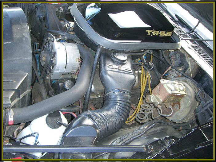 Specialized in Pontiac Trans Am