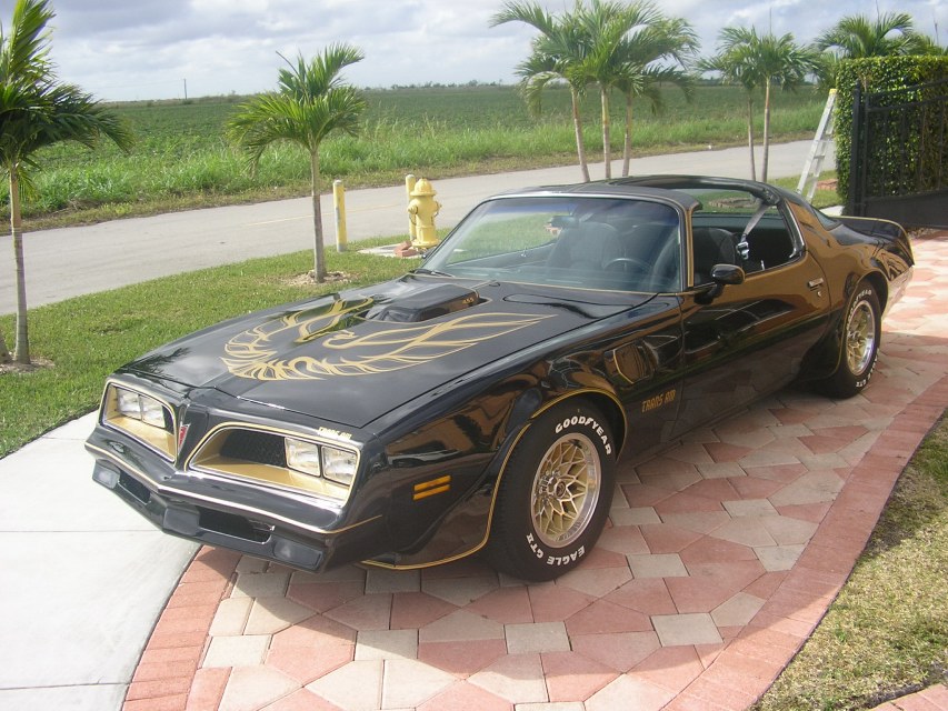 1978 Ultimate Power Trans Am