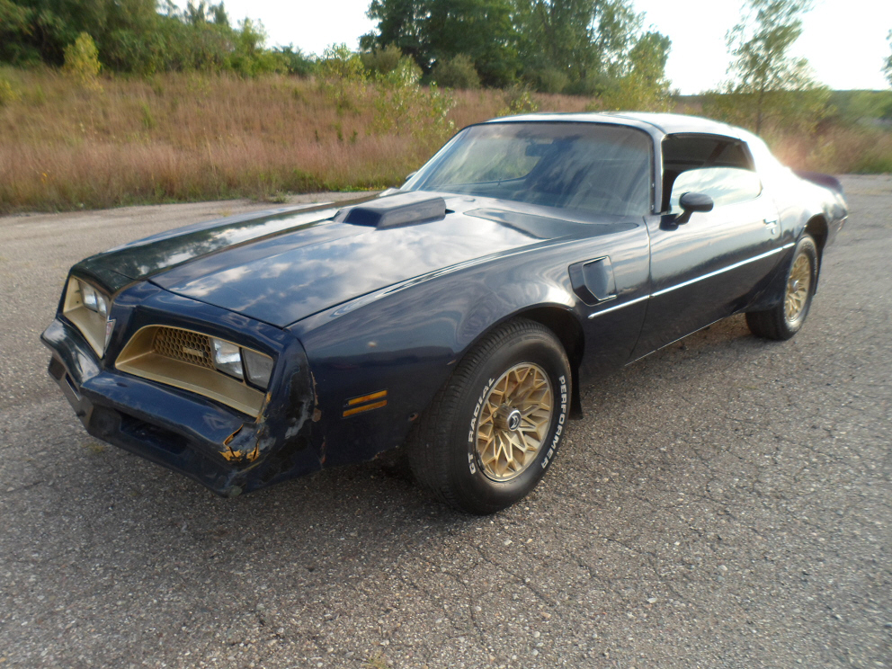 TRANS AM SPECIALTIES OF FLORIDA
