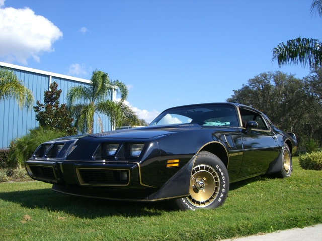 1981 Trans Am Special Edition Tu