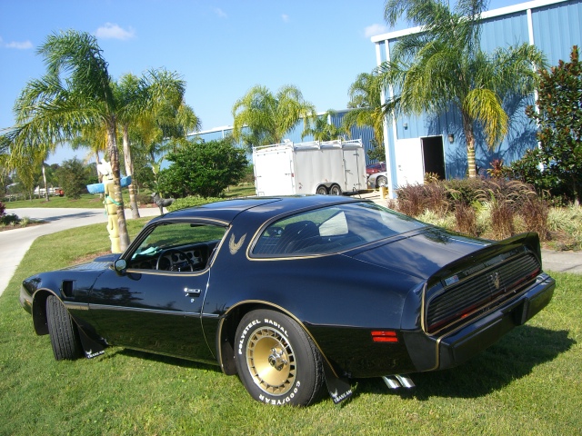 1981 Trans Am Special Edition Tu