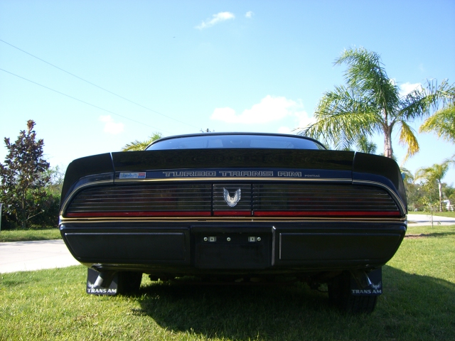 1981 Trans Am Special Edition Tu