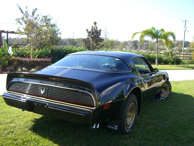 1981 Trans Am Special Edition Tu