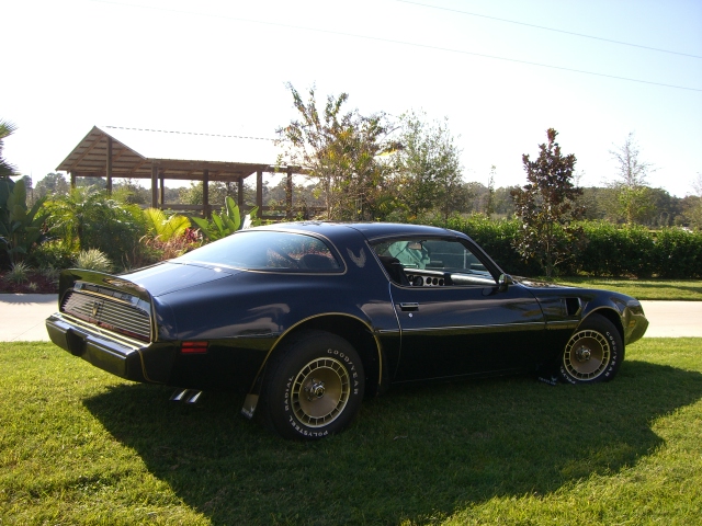 1981 Trans Am Special Edition Tu