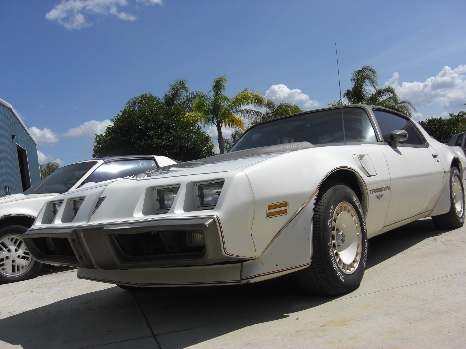 1980 Pontiac Trans Am Pace Car