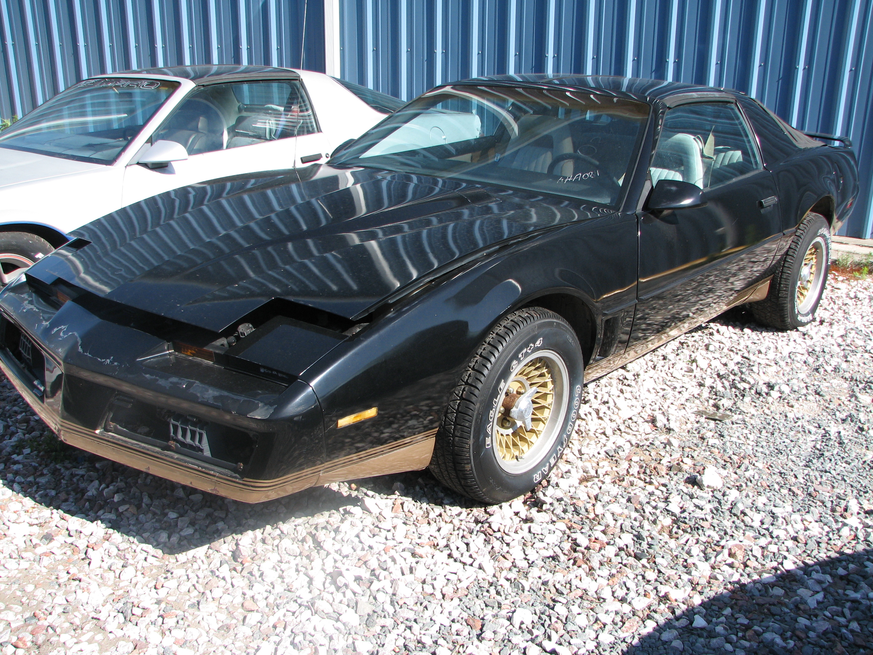 1982 Pontiac Trans Am #19