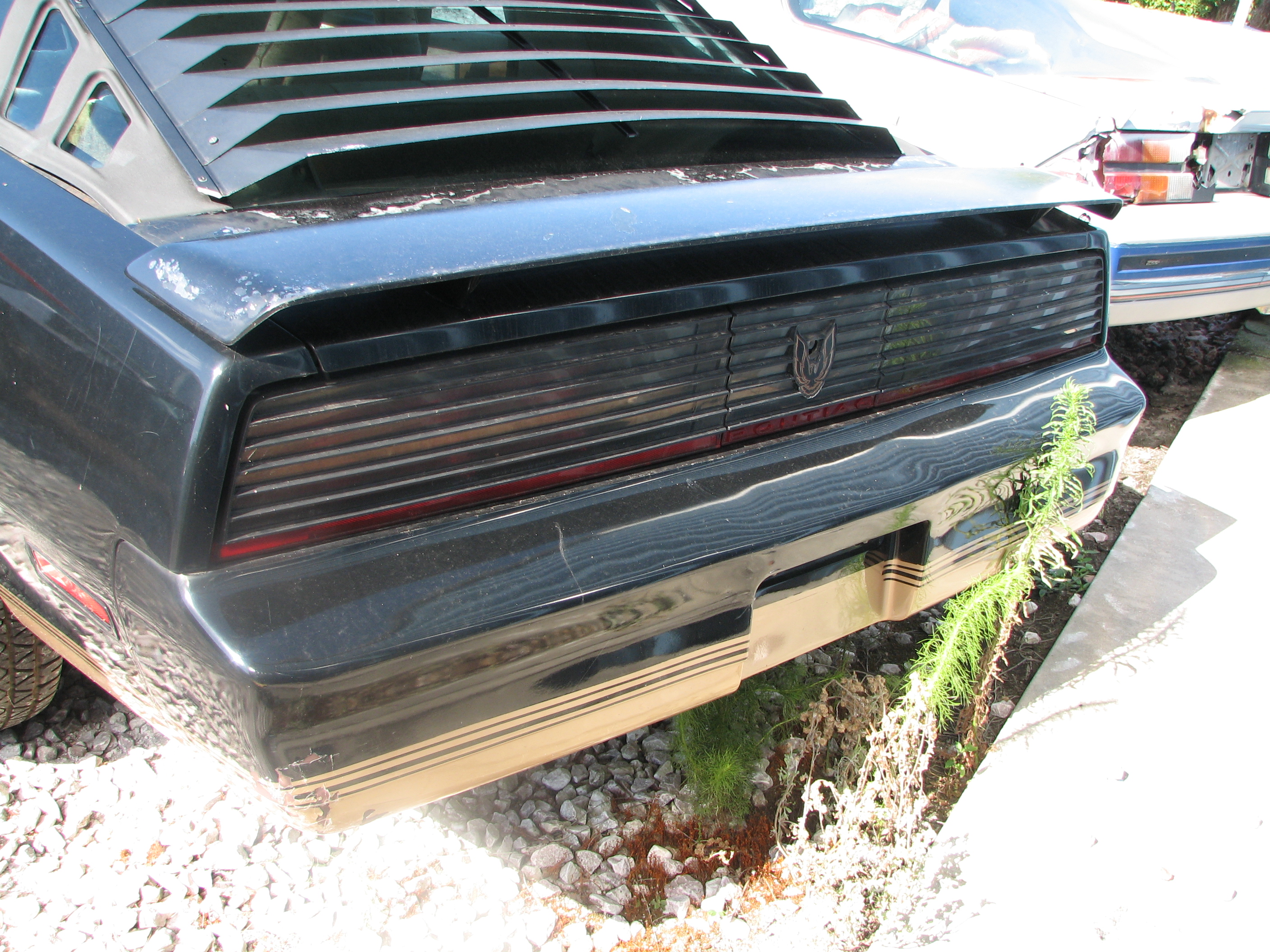 1982 Pontiac Trans Am #19