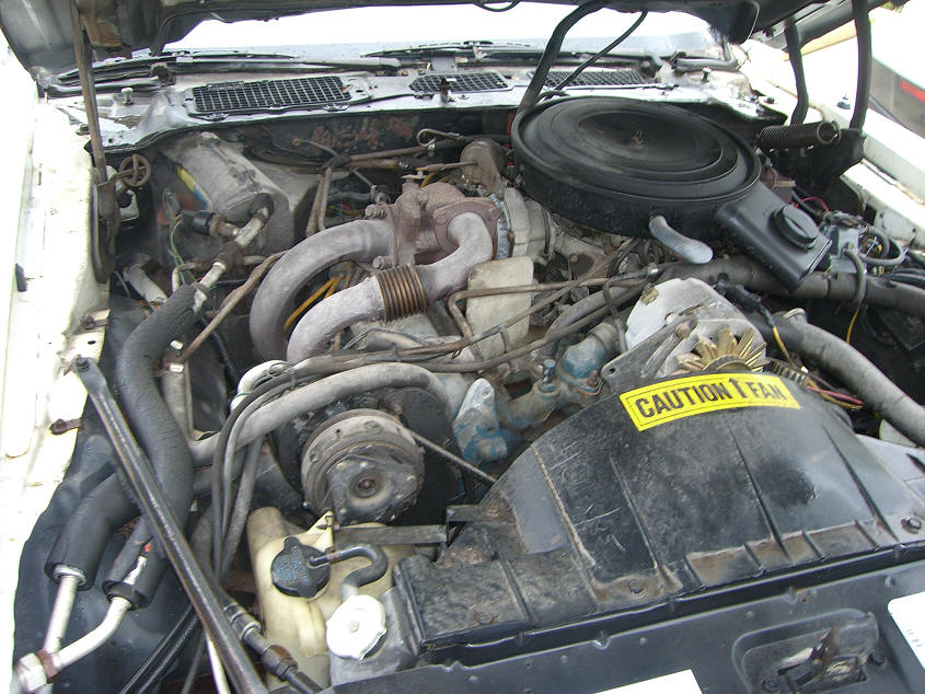 1981 TRANS AM Indy series TURBO